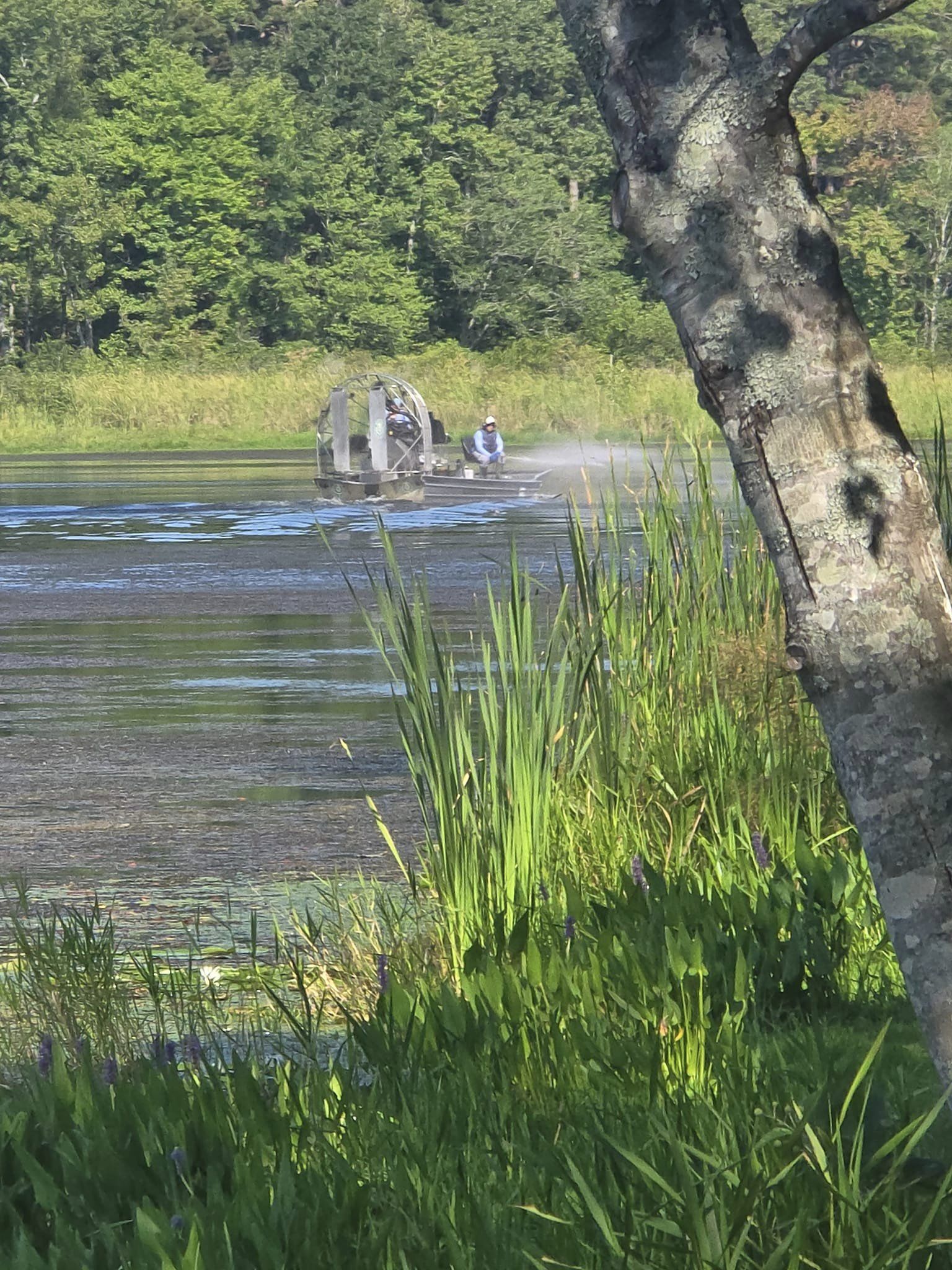 TPWD on Lake Hawkins Vegetation Problem - Lake Hawkins